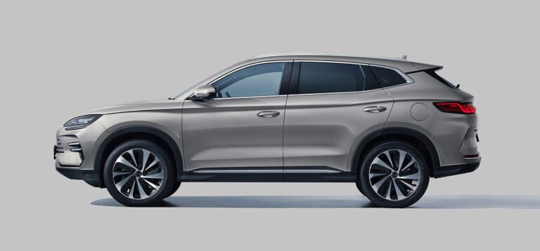 Shark - BYD