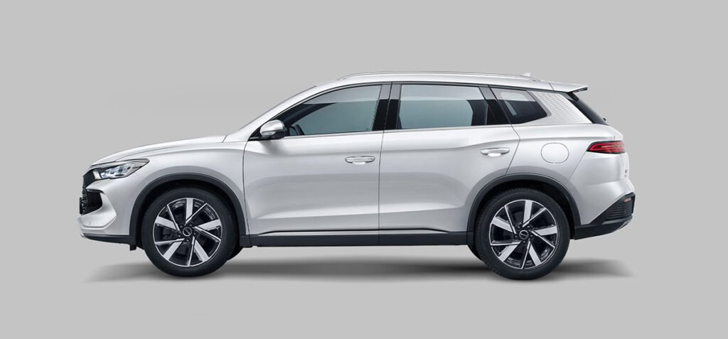 Servicio - BYD
